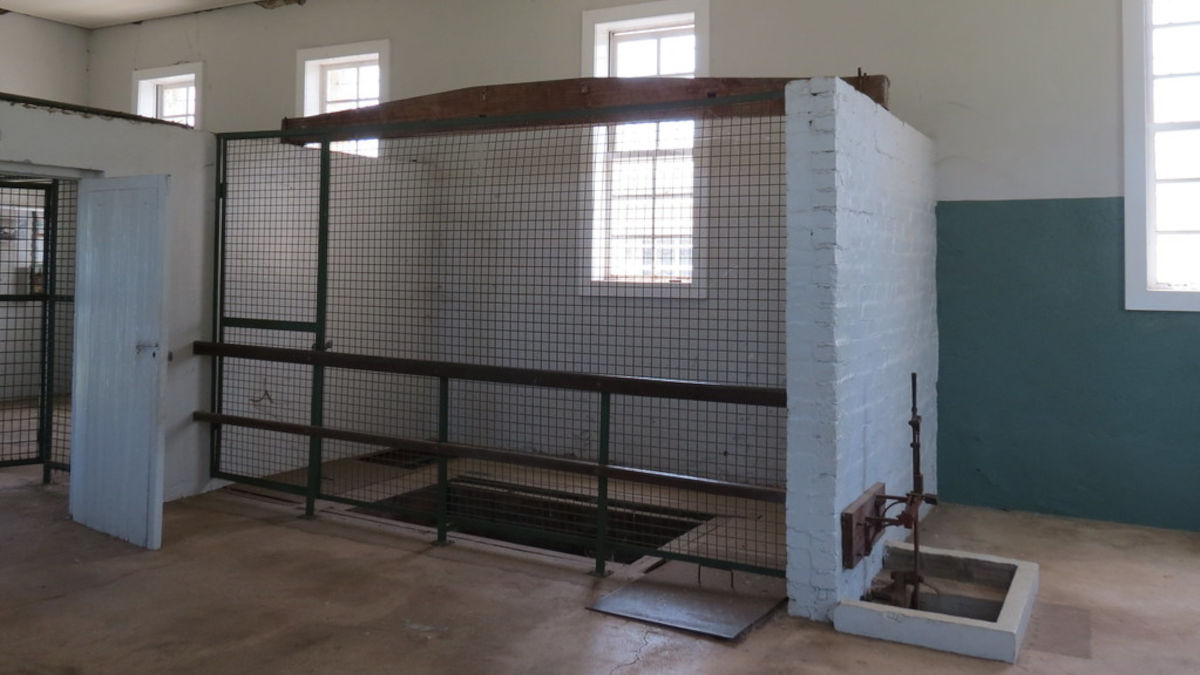 Australia’s Next Top Bizarre Death-Contraption – Christopher Dawson
